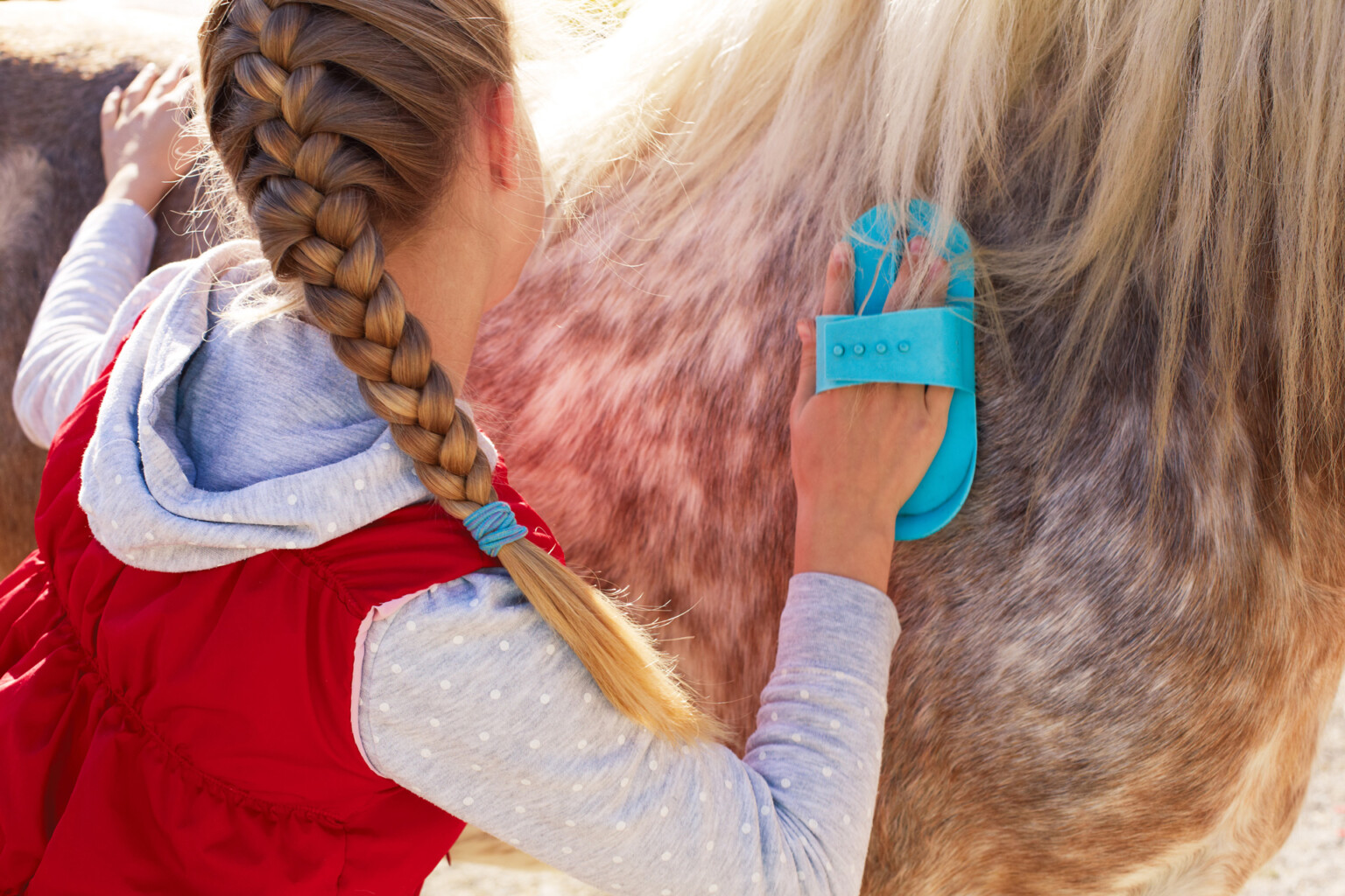 Pony Club | Shedfield Riding School